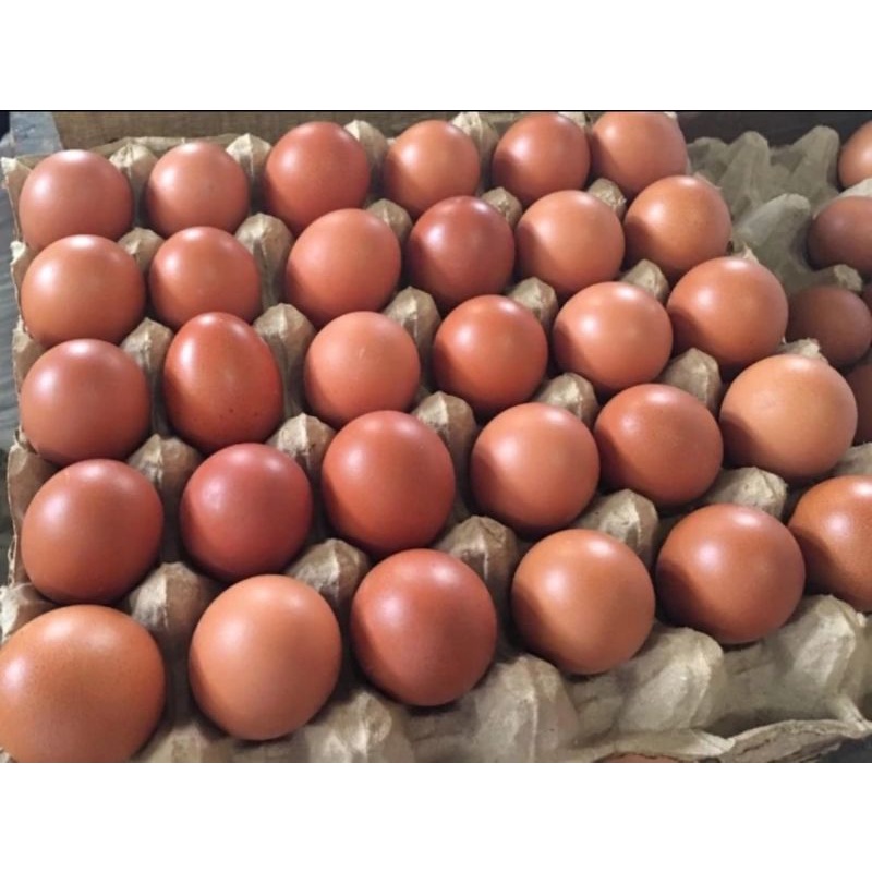 Jual TELUR Ayam Negeri 1 Tray Isi 30 Butir Telur | Shopee Indonesia