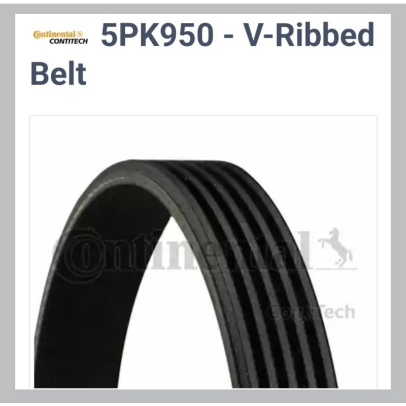 Jual Fan Belt 5PK 950 AC BMW E46 M43 Contitech | Shopee Indonesia