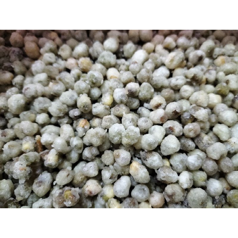 Jual Kacang Hijau Goreng Tepung, Kacang Ijo Goreng, Kacang Hijau Goreng ... Jual Kacang Hijau Goreng Tepung, Kacang Ijo Goreng, Kacang Hijau Goreng ...
