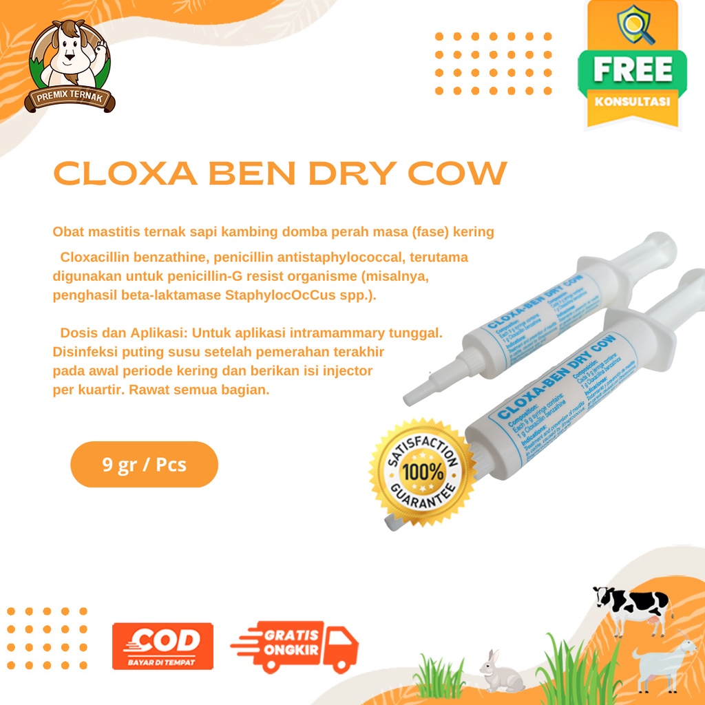 Jual CLOXA BEN DRY COW 1 PCS - Obat Mastitis Ternak Sapi Kambing Perah ...