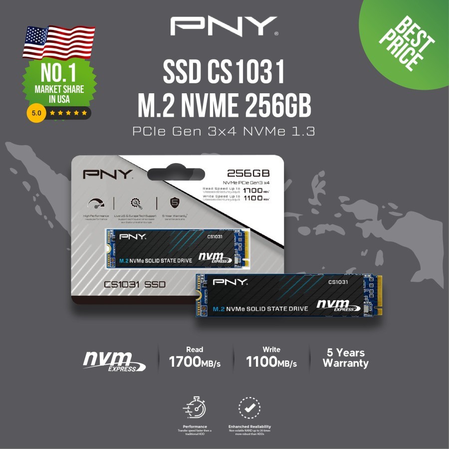 Jual SSD PNY CS1030 256GB M.2 NVMe PCIe Gen3 x4 | Shopee Indonesia