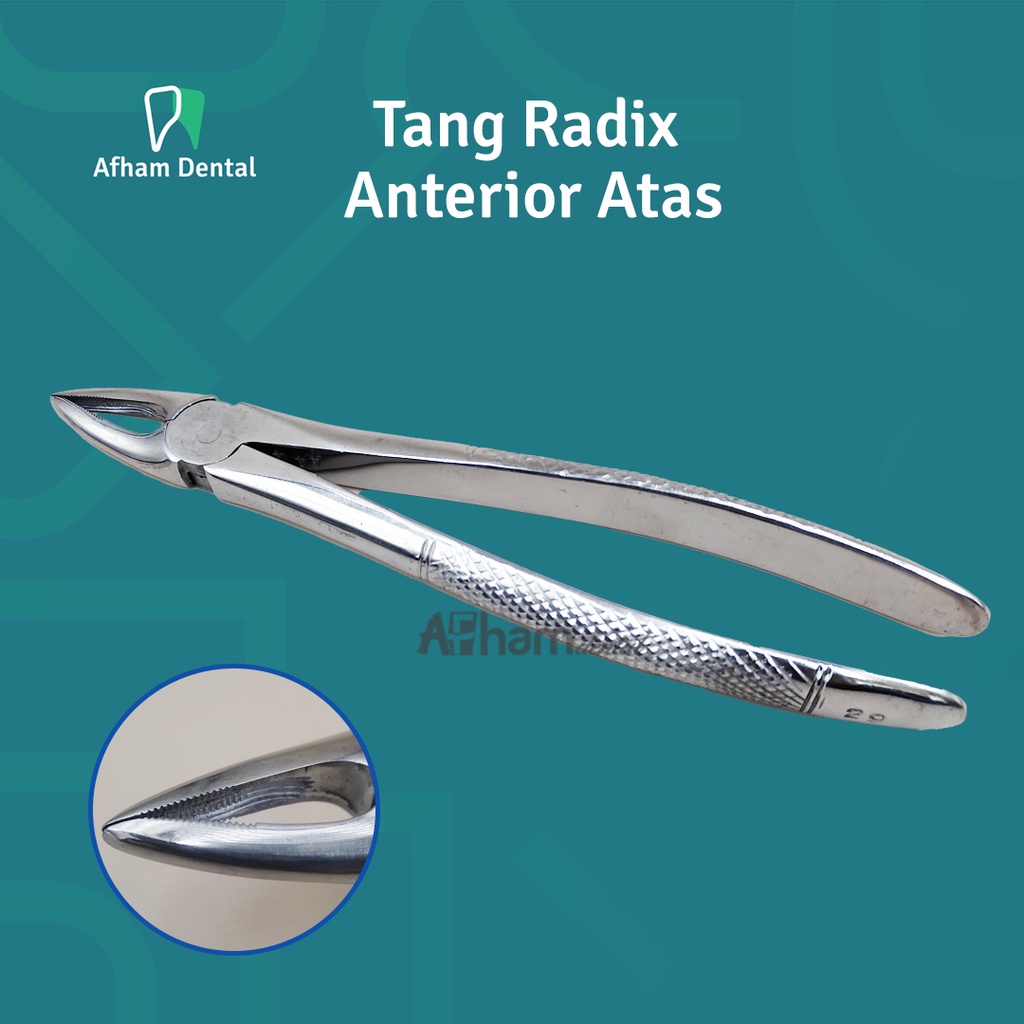 Jual DENTAL TANG CABUT GIGI DEWASA SATUAN ADULT TOOTH FORCEP / FORCEPT ...