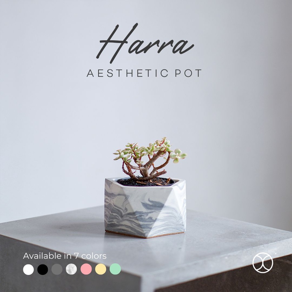 Jual CONCREATE LIVING Pot 10 Cm Harra Home Decor 10 Cm Pot Aesthetic ...