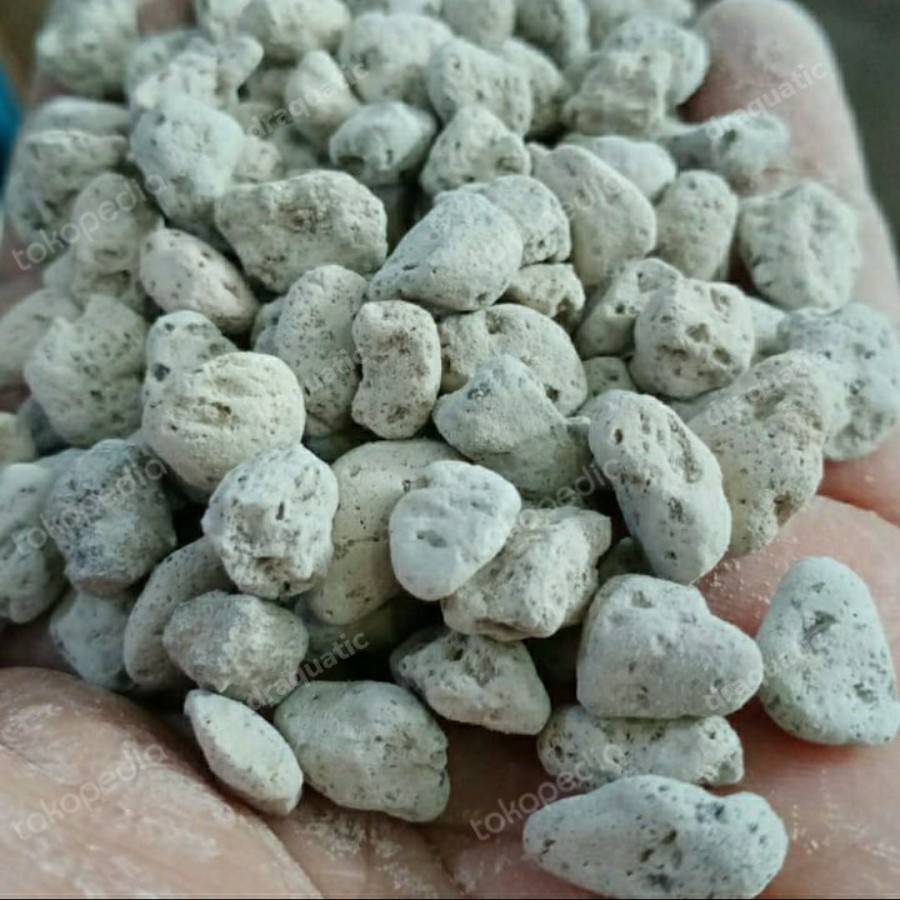 Jual BATU APUNG AQUASCAPE PUMICE PUMIS MEDIA FILTER RUMAH BAKTERI ...