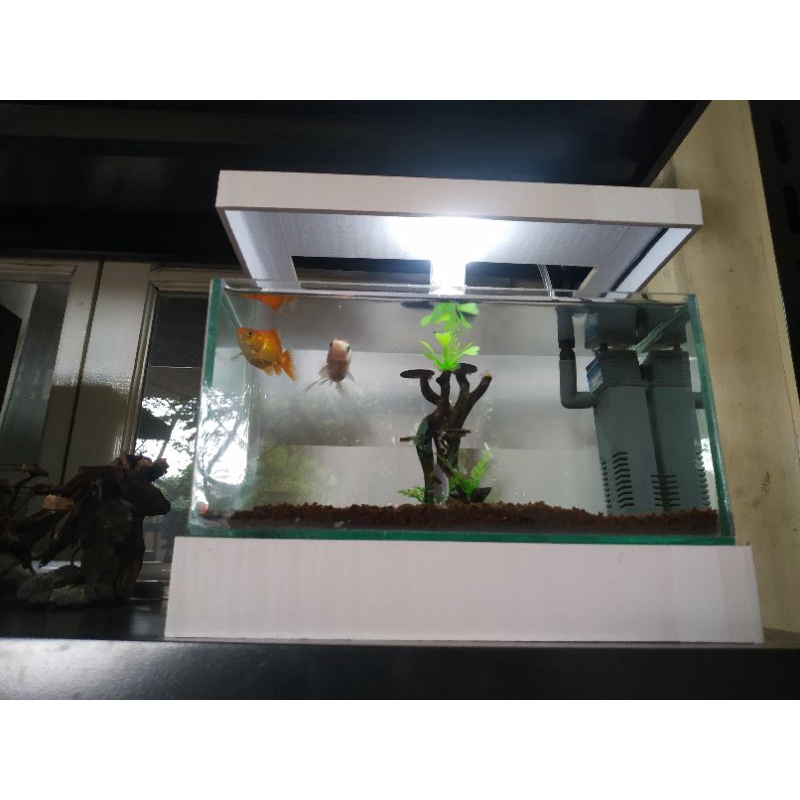 Jual akuarium aqua scape ikan hias akuarium minimalis fulset | Shopee ...