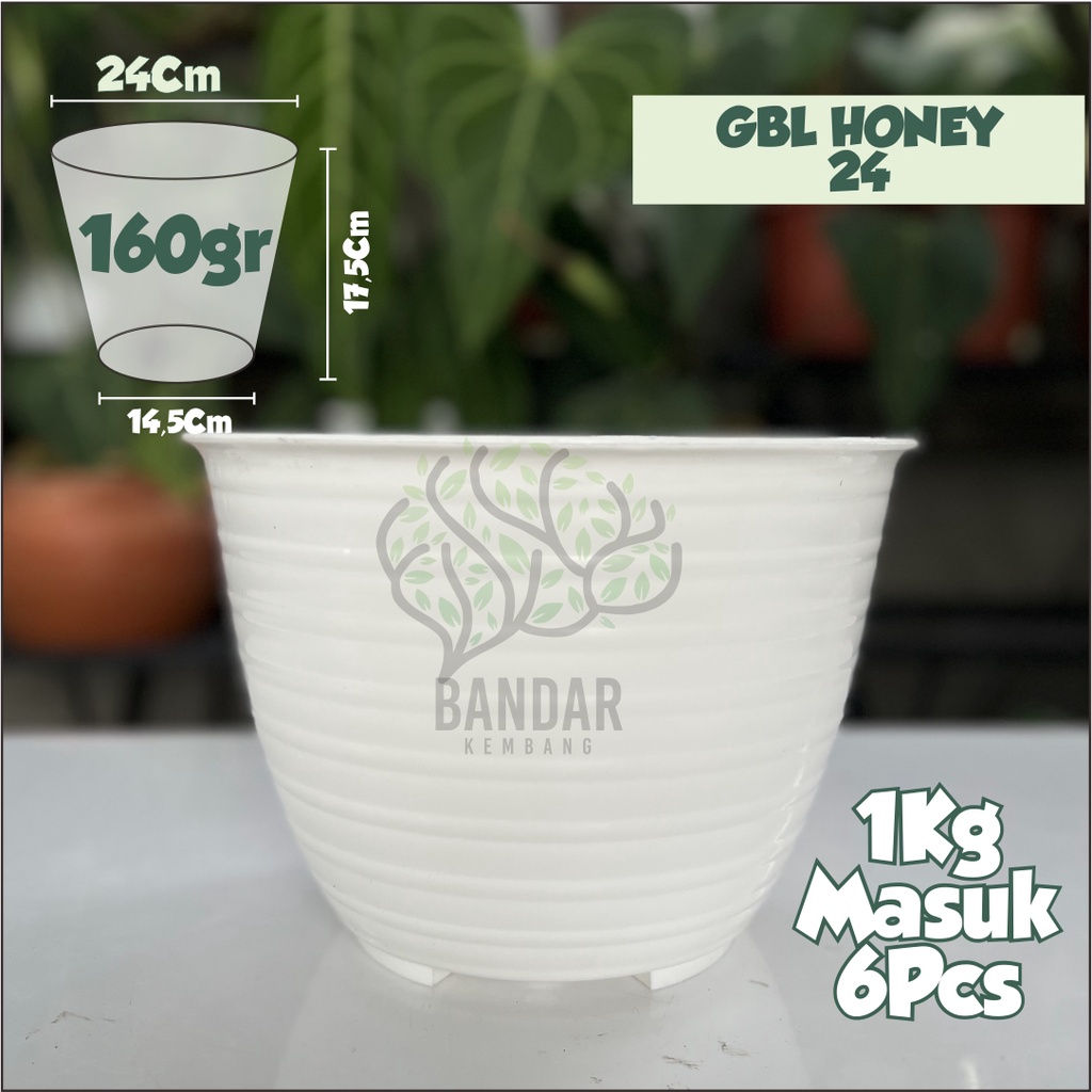 Jual Pot GBL Honey 24, pot bunga tanaman hias bagus aesthetic mirip pot ...