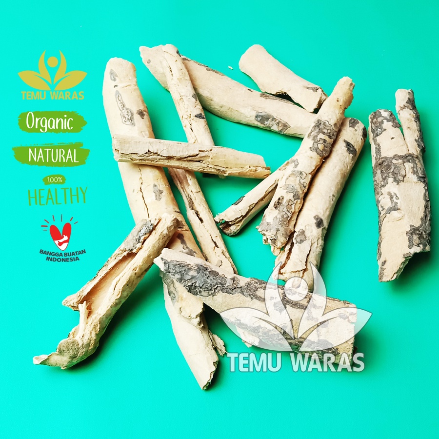 Jual Kulit Kayu Pulosari 50gr / Pulasari / Palasan atau Pulowaras Grade ...