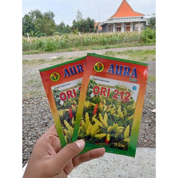 Jual Benih Cabe Rawit ORI 212 isi 10gram | Shopee Indonesia