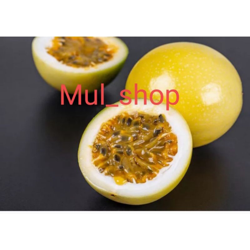 Jual BUAH MARKISA MADU I BUAH SEGAR/PRESH/MANIS/ASAM/100%ORGANNIK (PERBUAH) | Shopee Indonesia