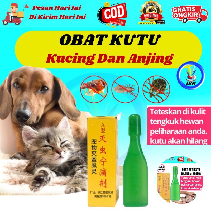 Jual OBAT KUTU KUCING DAN ANJING IMPORT ( TETES ) | Shopee Indonesia