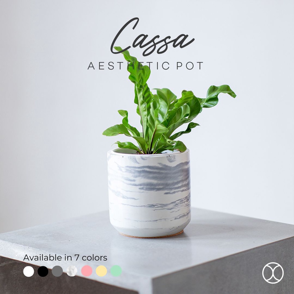 Jual CONCREATE LIVING Pot 15 Cm Cassa Home Decor 15 Cm Pot Aesthetic ...
