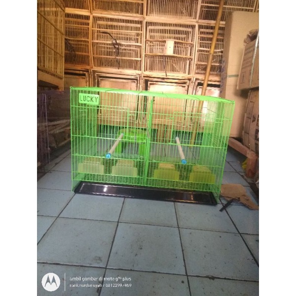 Jual kandang ternak burung / anakan ayam /marmut / anakan kelinci ...