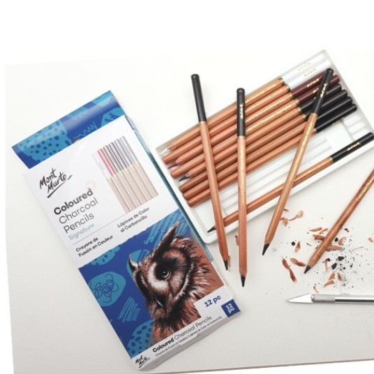 Jual Charcoal Mont Marte Coloured Charcoal Pencils Set 12 Mpn0042 | Shopee Indonesia