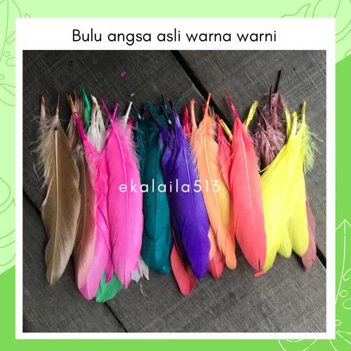 Jual BULU ANGSA ENTOG ASLI WARNA WARNI MURAH - BAHAN DREAM CATCHER ...