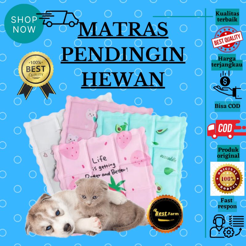 Jual Alas Kandang Kucing Alas Kandang Anjing Alas Hewan Matras Hewan ...
