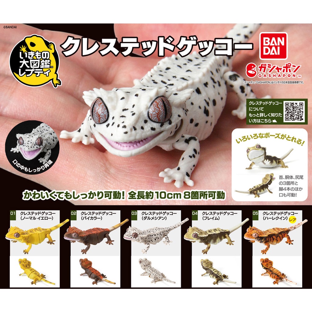 Jual Crested Gecko Ikimono Daizukan Repti Kadal Bandai Gashapon Gacha ...