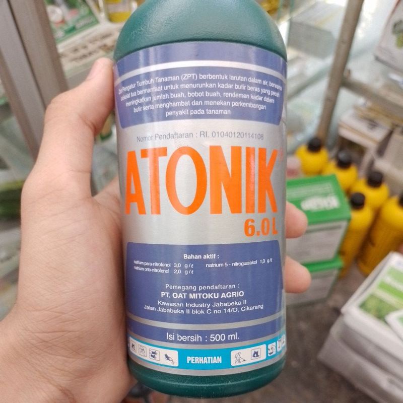 Jual Atonik 6.0L 500ml | Shopee Indonesia