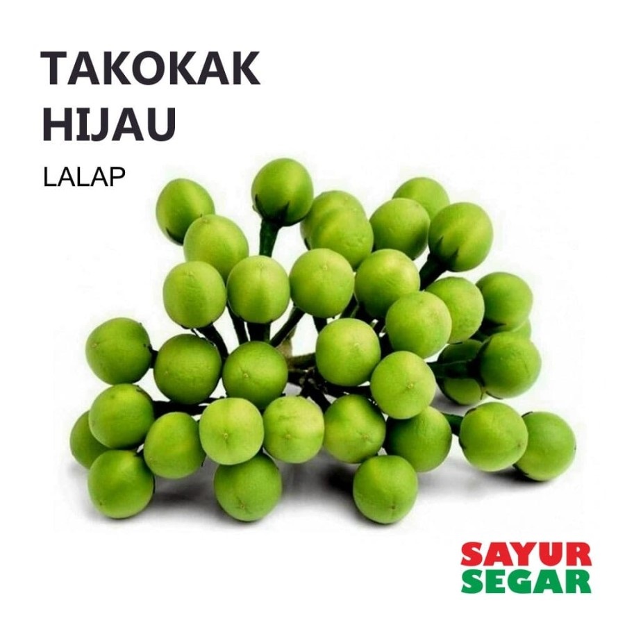 Jual Buah Takokak Segar 500gr | Buah Cepokak Fresh | Buah Takokak ...