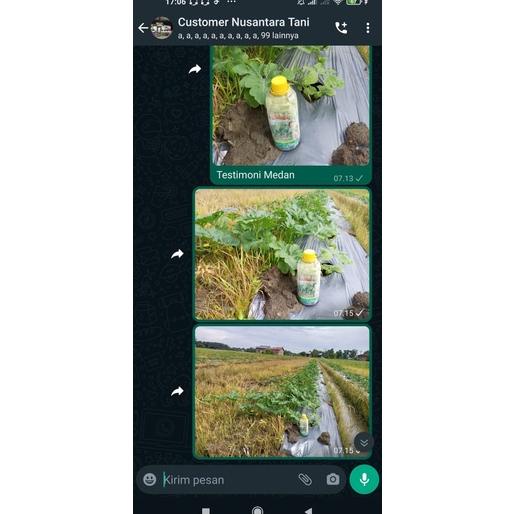 Jual Limited - IREX 500 ml - Irex Penguat Tanaman / Obat Bawang Merah ...