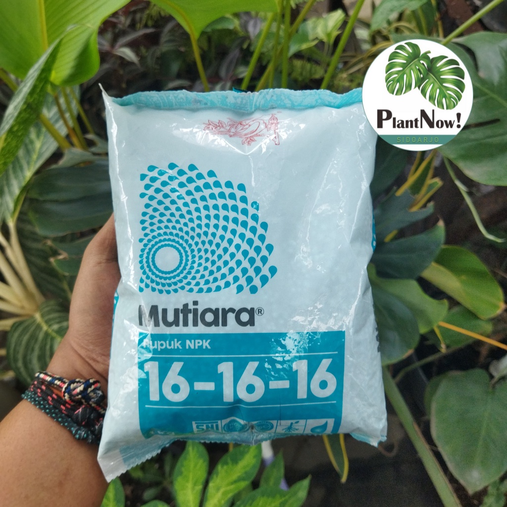 Jual PUPUK NPK MUTIARA KEMASAN PABRIK 1 KG ORIGINAL - 1pcs | Shopee ...