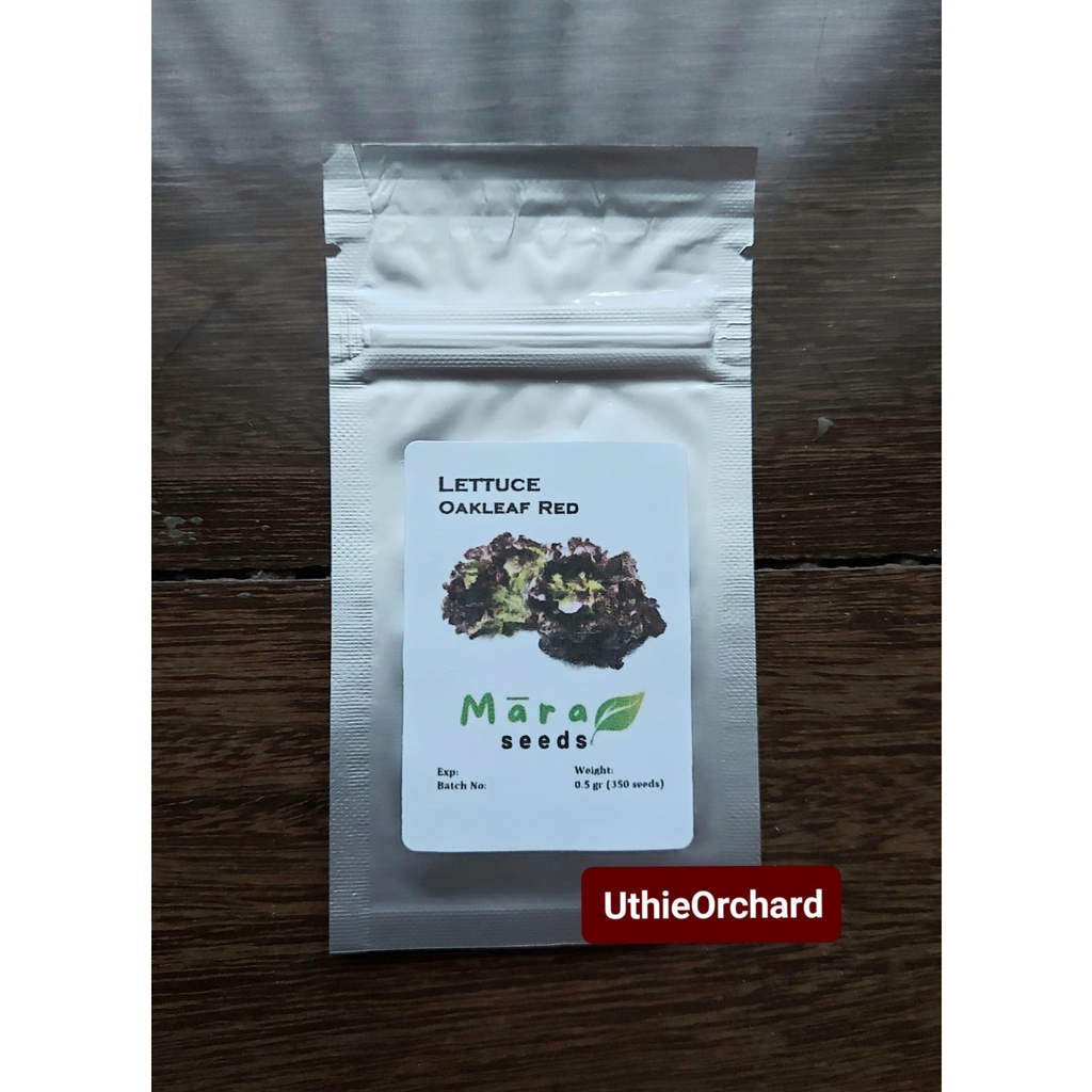 Jual Mara Seeds - Lettuce (Selada) Oakleaf Red (350 seeds) | Shopee ...