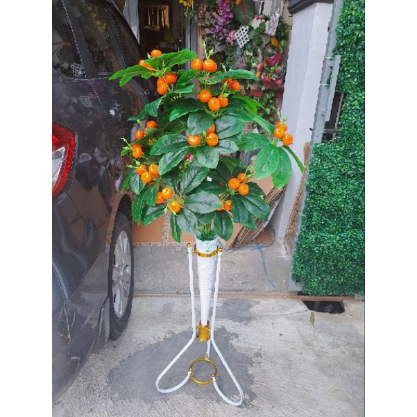 Jual bunga pojok bunga sudut ruangan pohon jeruk+pot standing besi ...