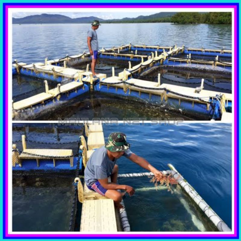 Jual Jaring Keramba Apung/Keramba Ikan/Jaring Ternak Ikan/Jaring Tambak ...