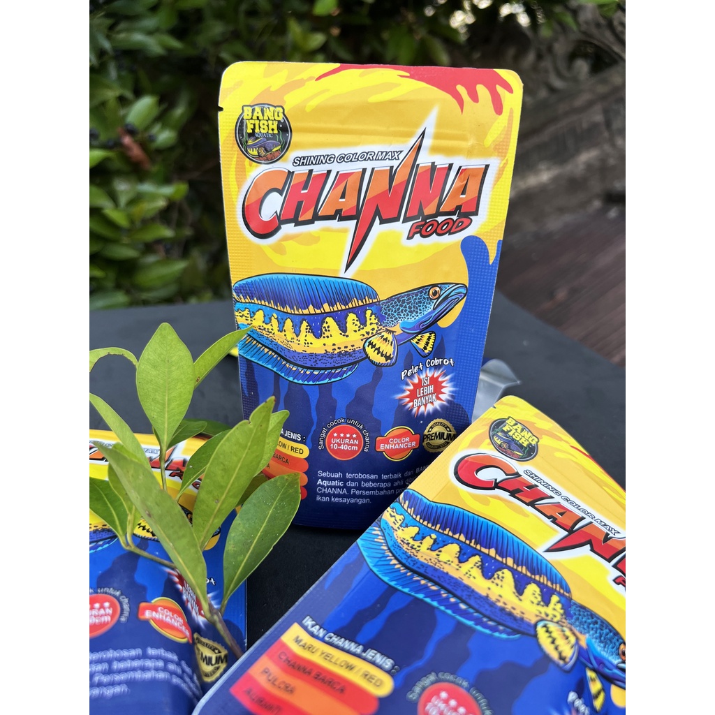 Jual BANG FISH AQUATIC CHANNA FOOD UNTUK MARU, AURANTI, PULCHRA ...