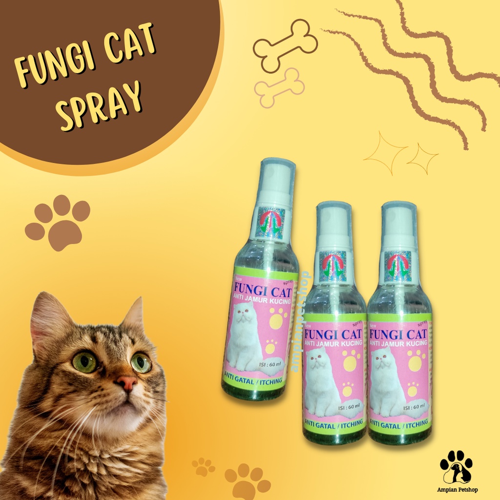 Jual FUNGI CAT SPRAY - OBAT ANTI JAMUR 60 ML | Shopee Indonesia