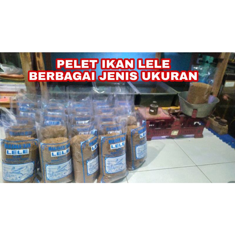 Jual Pakan Ikan Lele /Pelet Lele Nila Mujaer (Anakan - Dewasa - Indukan ...