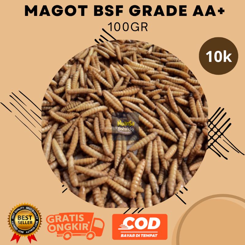 Jual MAGOT KERING BSF GRADE AA+/DRY MAGOT PAKAN CHANNA,LOUHAN,ARWANA ...