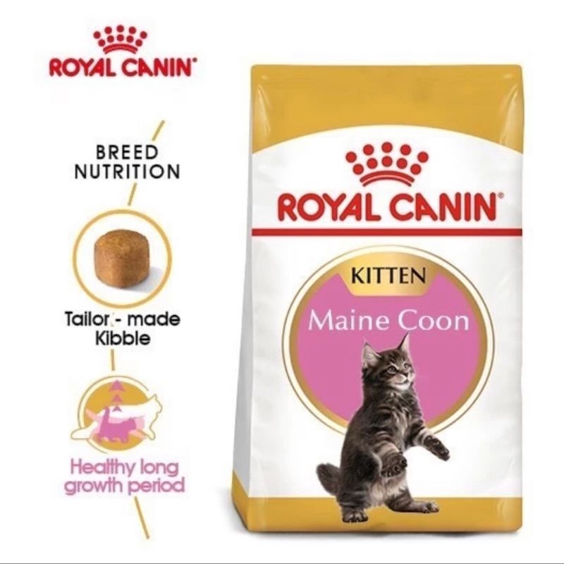 Jual RC Cat Royal Canin Kucing Kitten Maine Coon 2 Kg | Shopee Indonesia