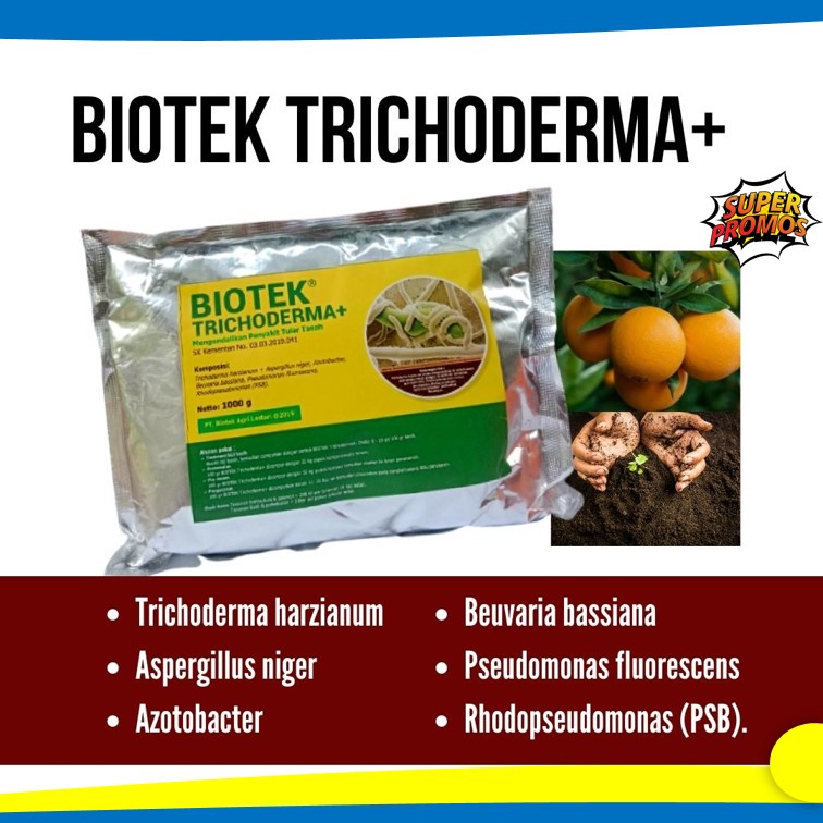 Jual BIOTEK TRICODERMA + Beauveria Bassiana Pupuk Obat Layu Rontok ...