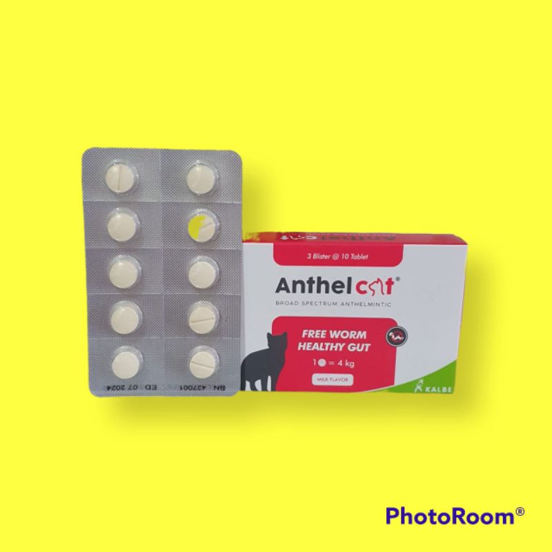 Jual ANTHEL CAT OBAT CACING 1 TB BLISTER | Shopee Indonesia