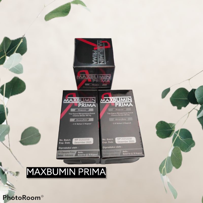 Jual MAXBUMIN PRIMA (Albumin asli berkualitas) | Shopee Indonesia