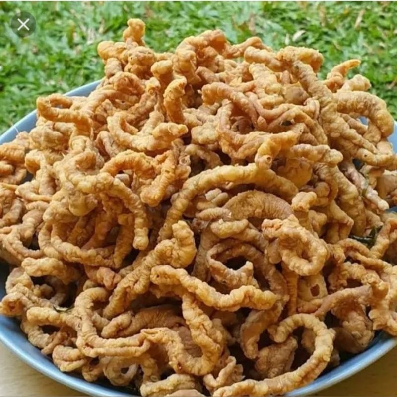 Jual USUS AYAM CRISPY KEMASAN 1kg. DI JAMIN TIDAK BAU AMIS | Shopee ...