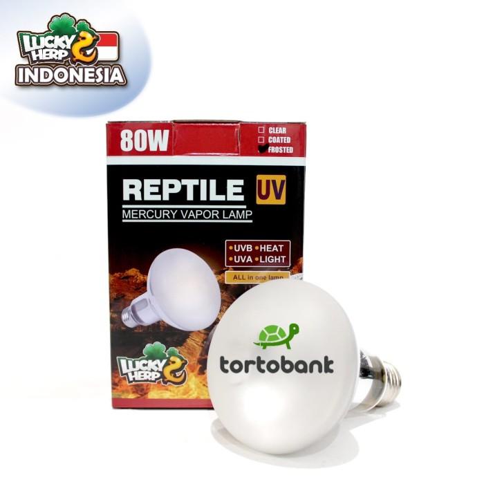 Jual LAMPU UVA UVB MERCURY VAPOR LAMP 80 WATT LUCKY HERP - MIRIP SOLAR GLO | Shopee Indonesia