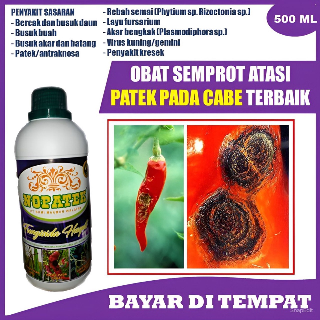 Jual NOPATEK 500ML PUPUK FUNGISIDA Obat Untuk Mengatasi Penyakit Patek ...