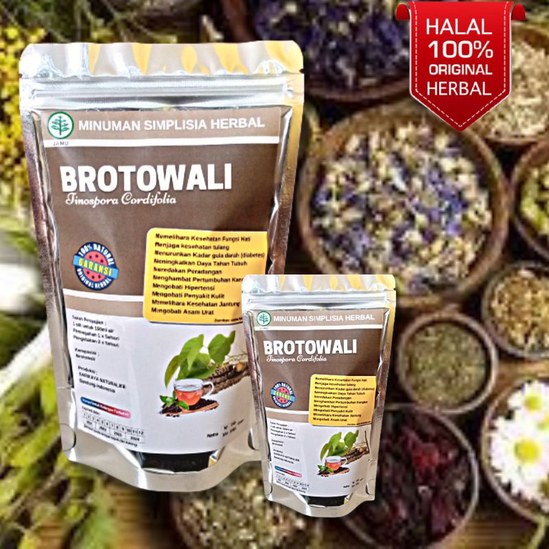 Jual Simplisia Herbal Serbuk Murni Brotowali utk kesehatan tulang | Shopee Indonesia
