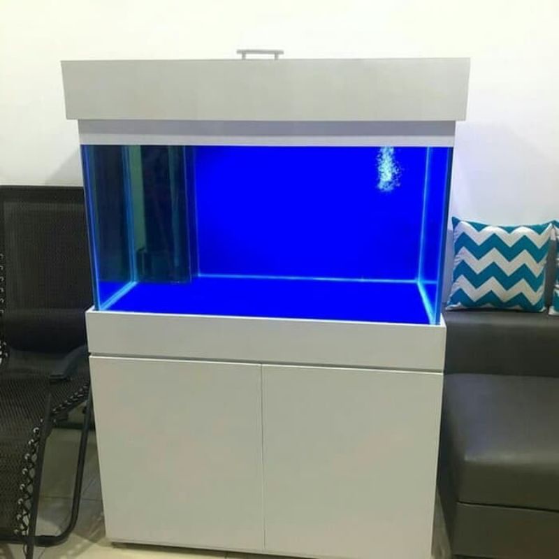 Jual Stiker Background Aquarium Warna Biru Polos 120cm x 50cm | Shopee ...