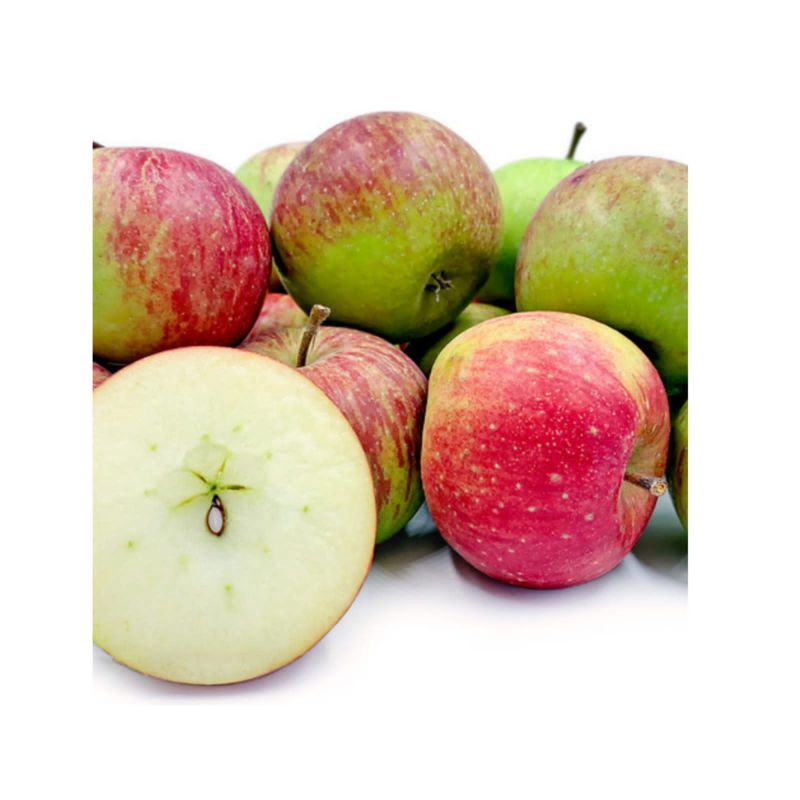 Jual Apel anna segar, apel malang | Shopee Indonesia