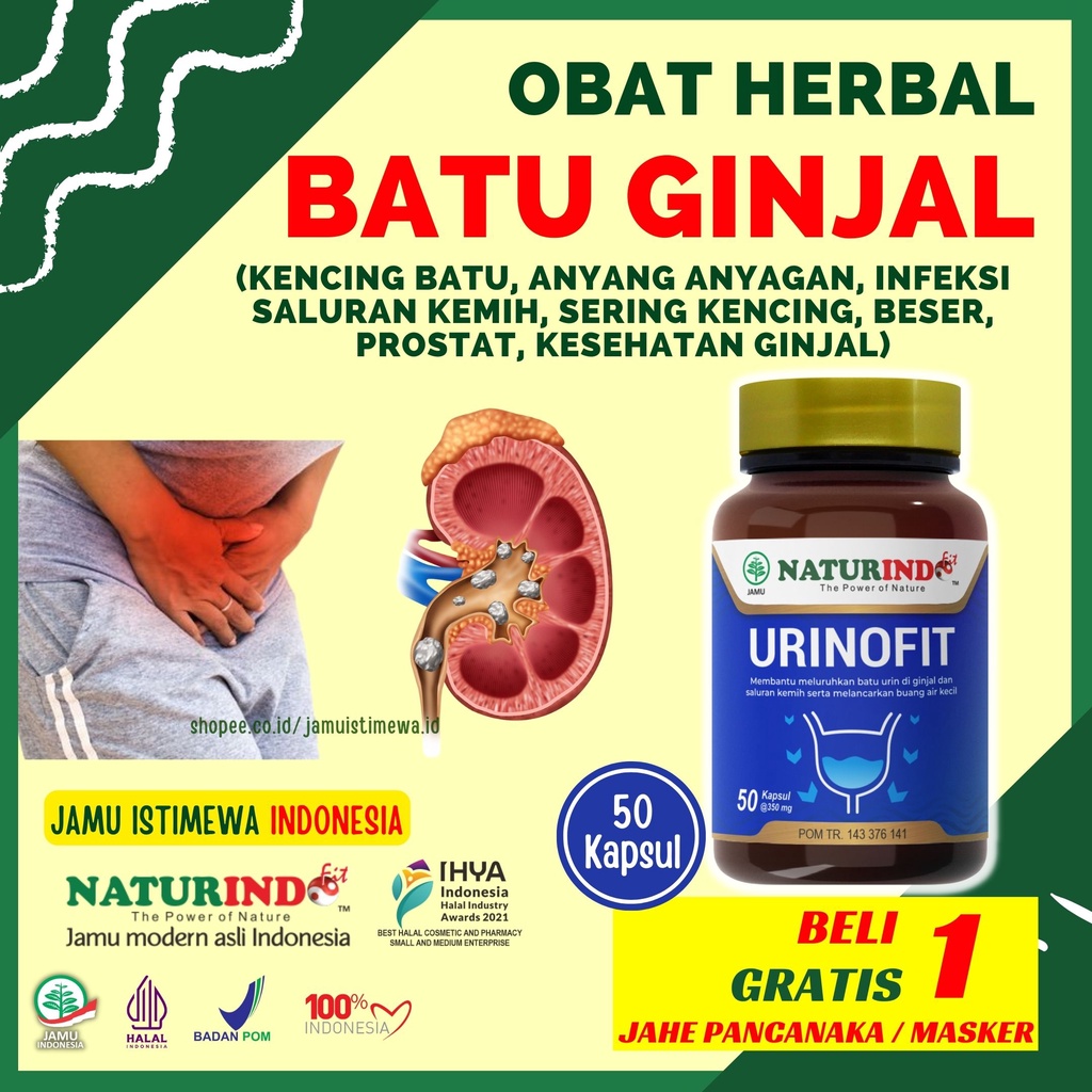 Jual Obat Batu Ginjal Infeksi Saluran Kemih Prostat Sering Kencing Anyang Anyangan Kencing Batu ...
