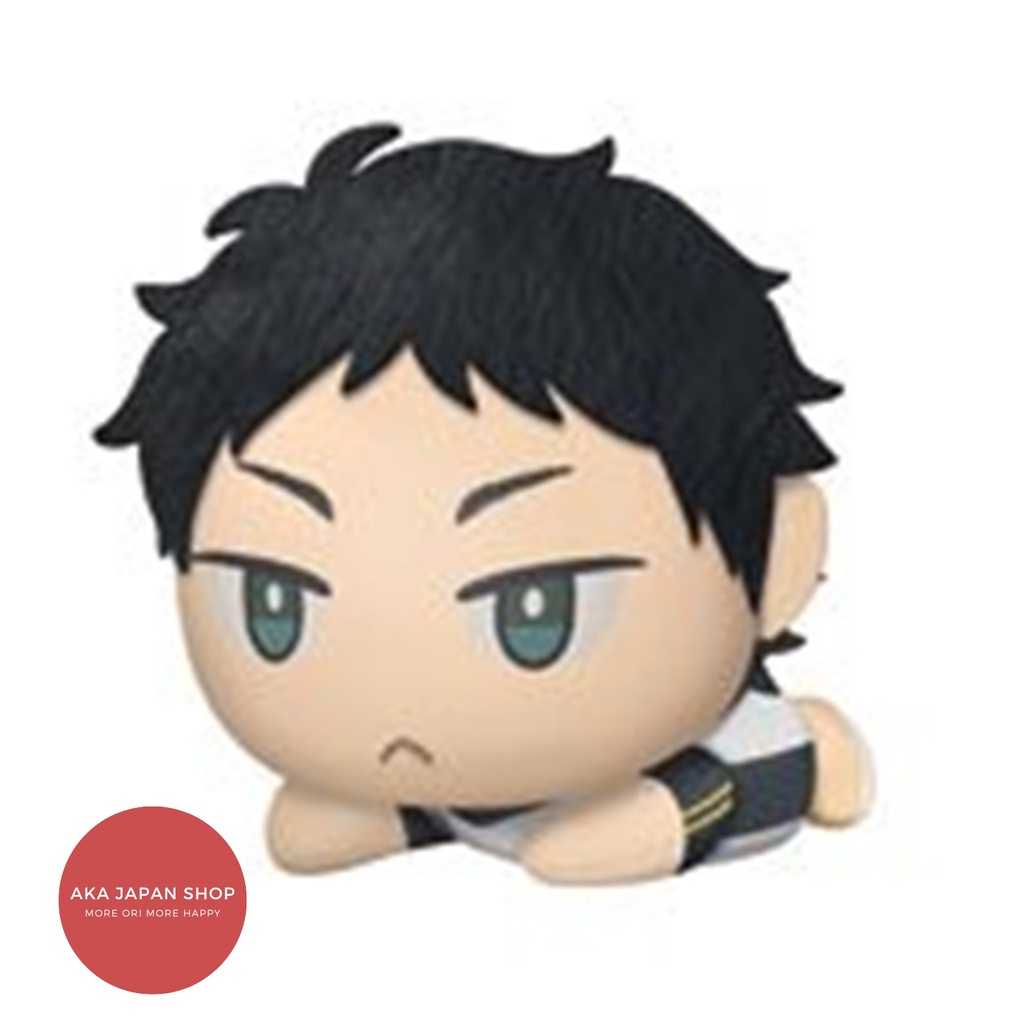 Jual Haikyuu Nuigurumi Mascot Plushie Fukurodani Akaashi Keiji | Shopee ...