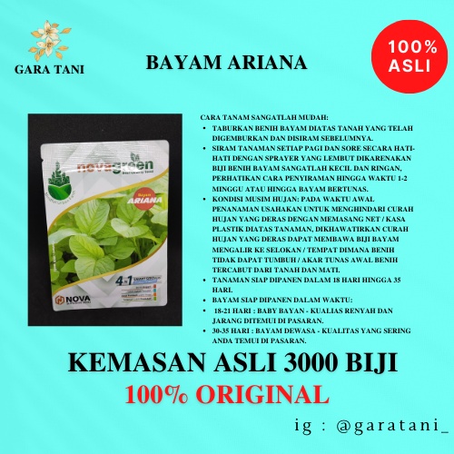 Jual BENIH BAYAM ARIANA ISI 3000 BIJI | KEMASAN ASLI PABRIK 100% ...