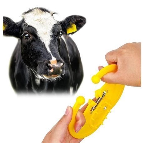 Jual Cincin Tinik Hidung Sapi, Kuda, Kerbau Alat Penyapih Anak Sapi ...