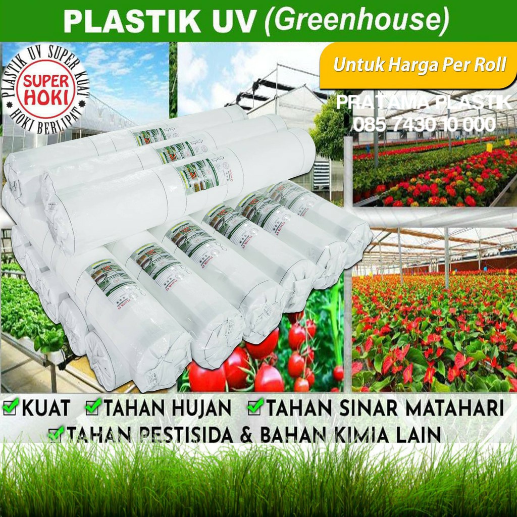 Jual Plastik UV Lebar 3 Meter Panjang 100 Meter Tebal 200 Mikron 1 Roll | Shopee Indonesia