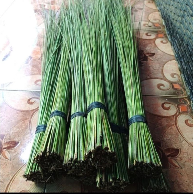 Jual Sapu lidi AREN Kawung ASLI, untuk Syarat, Besar kokoh Terlaris ...