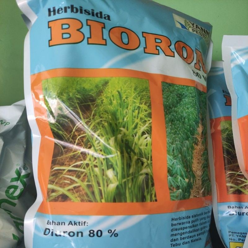 Jual Racun Rumput Bioron 80wp 250gr - Herbisida Spesialis Tebu dan ...