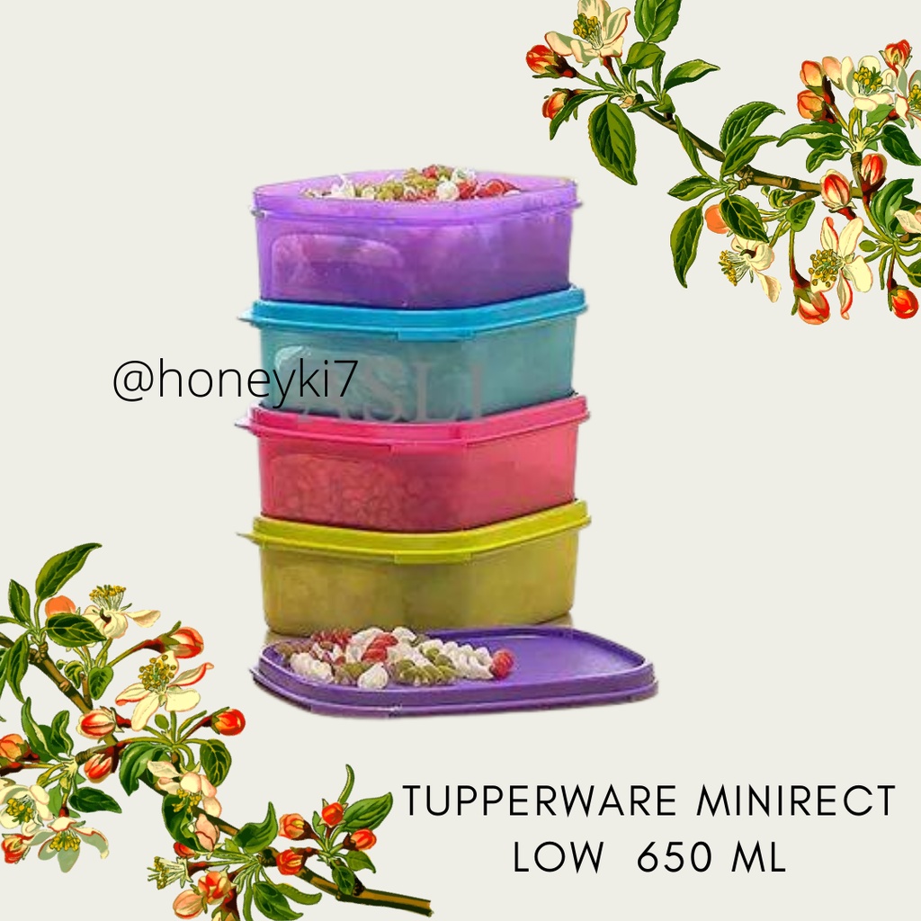 Jual Tupperware Mini Rectangular Low 650 ml | Shopee Indonesia