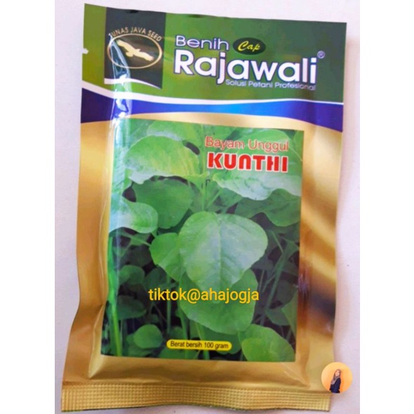 Jual BENIH BAYAM KUNTHI Cap Rajawali 100 gram | Shopee Indonesia